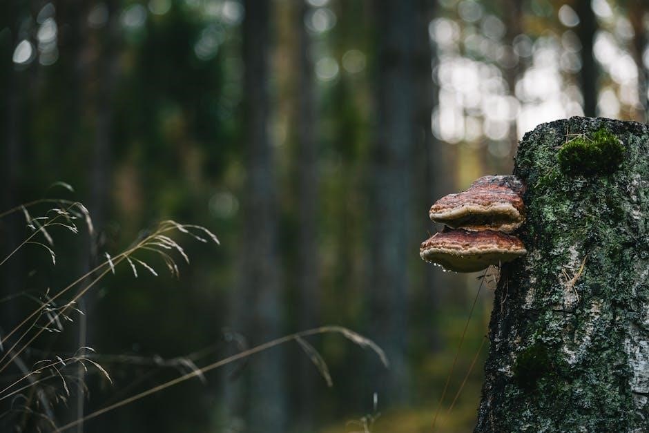 Nit Bracket 2024 PDF: Your Quick & Easy Download!